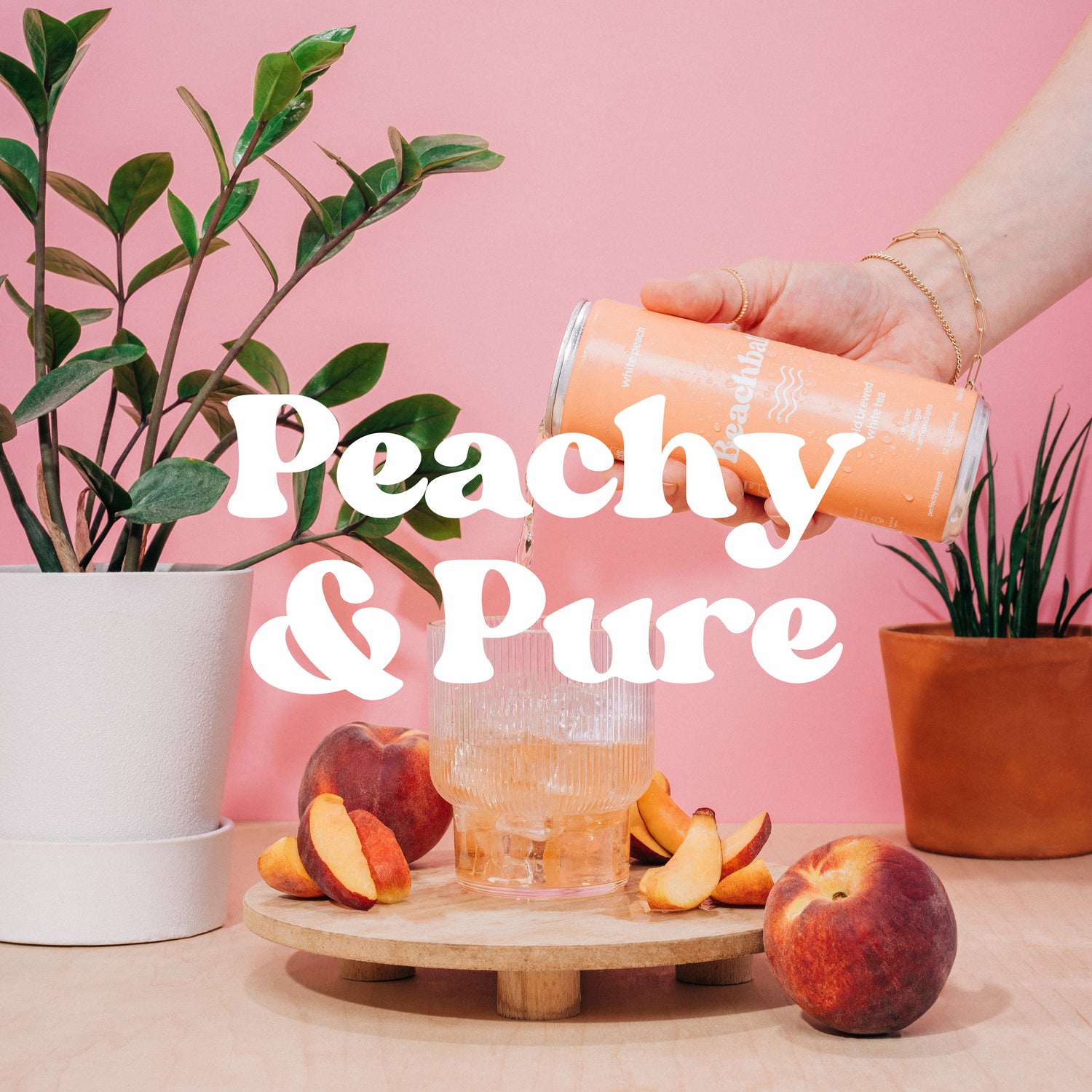 Organic Cold Brewed Tea – Beachball