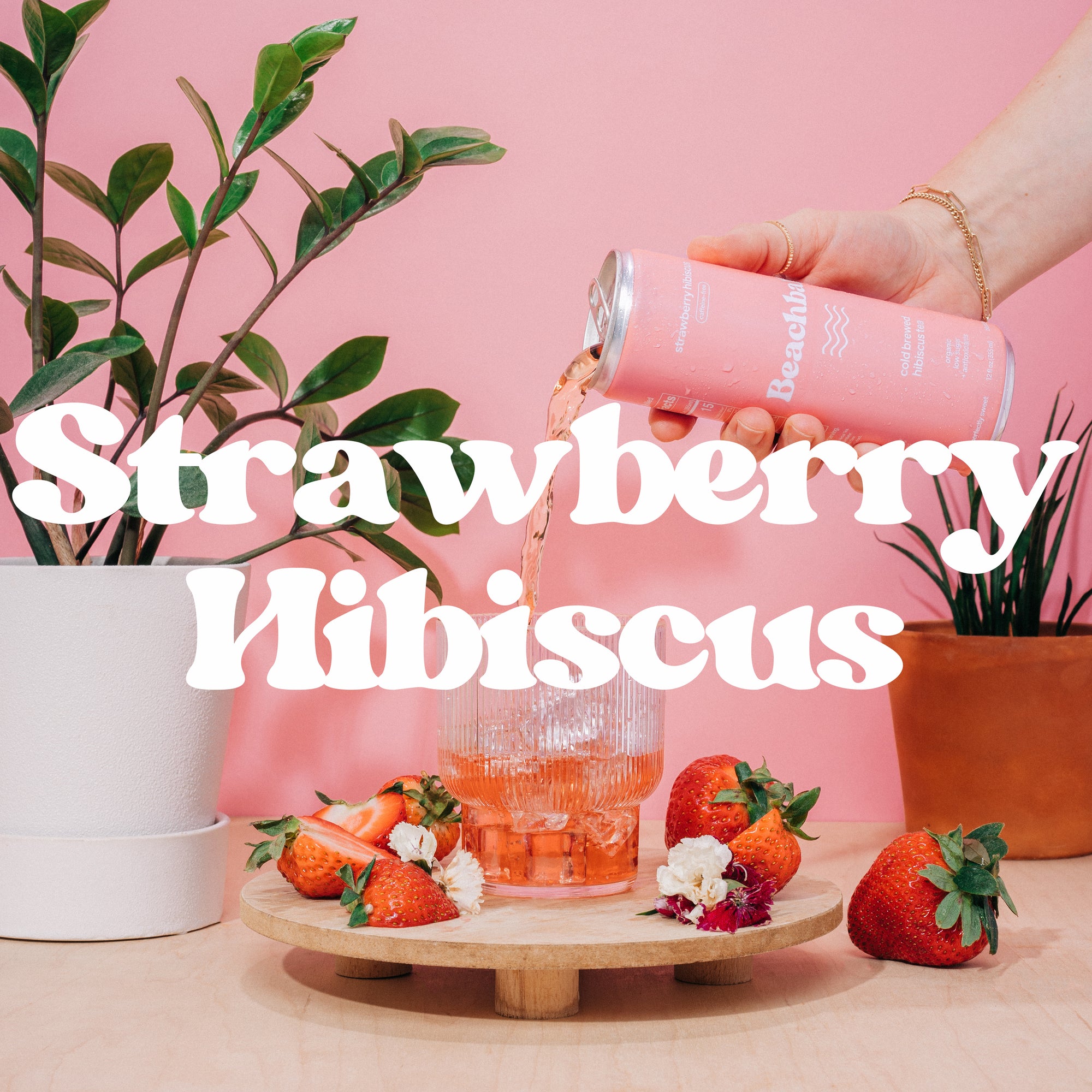 Beachball - Organic Cold Brewed Tea