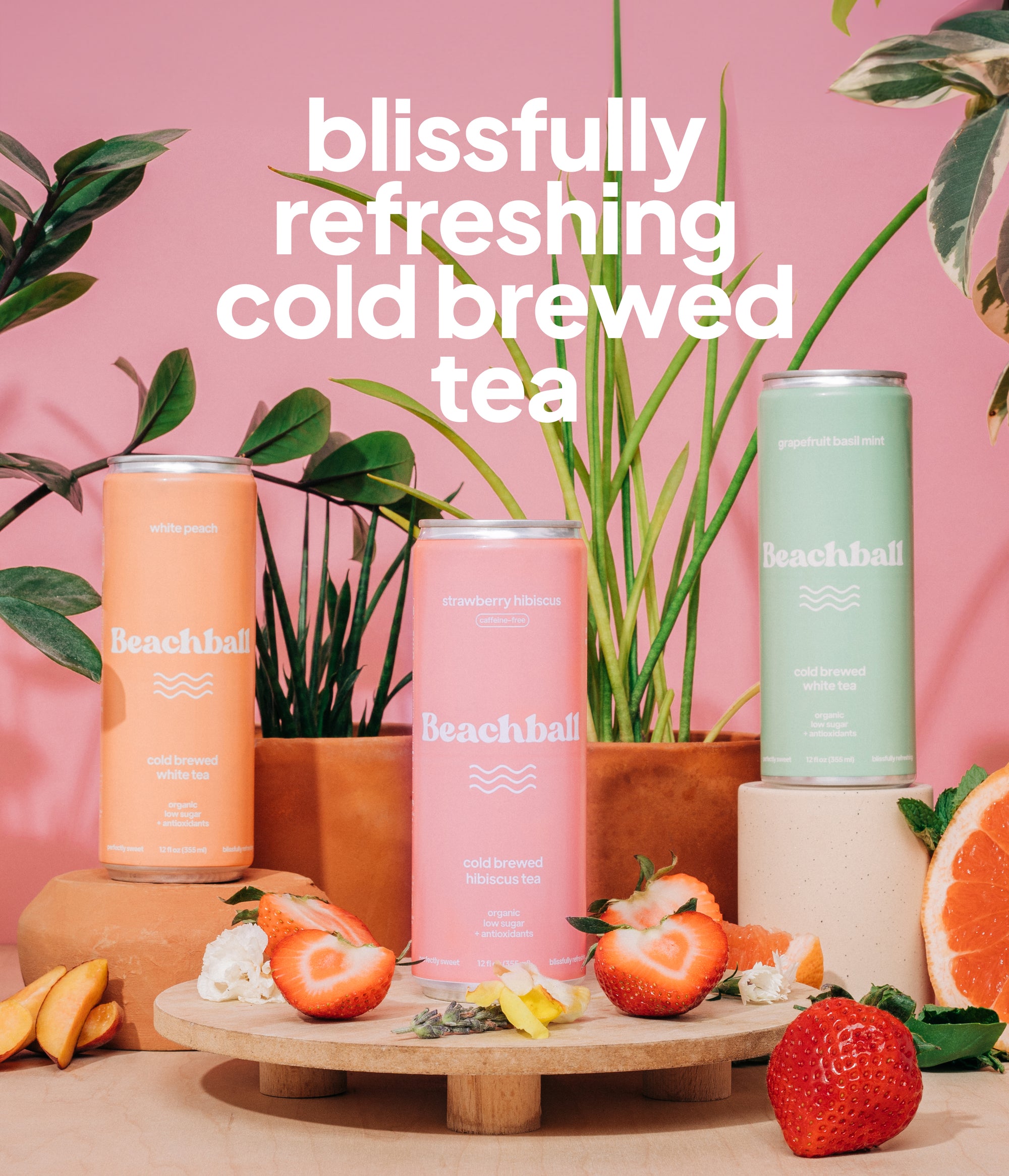 Beachball - Organic Cold Brewed Tea